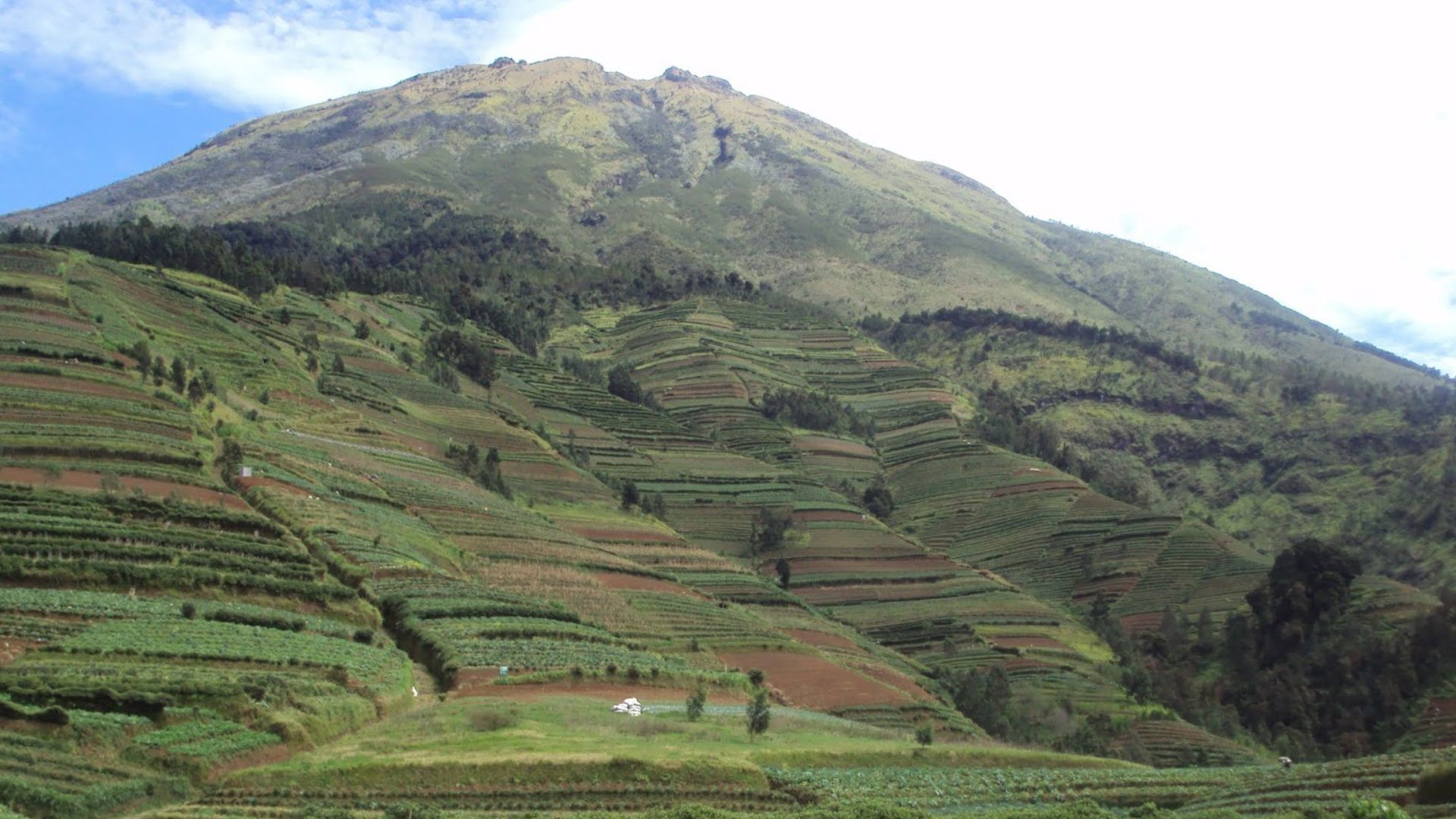 Mengagumkan dan Menyejukkan! Eksplorasi Wisata Alam Blumbang Roto, Jawa ...